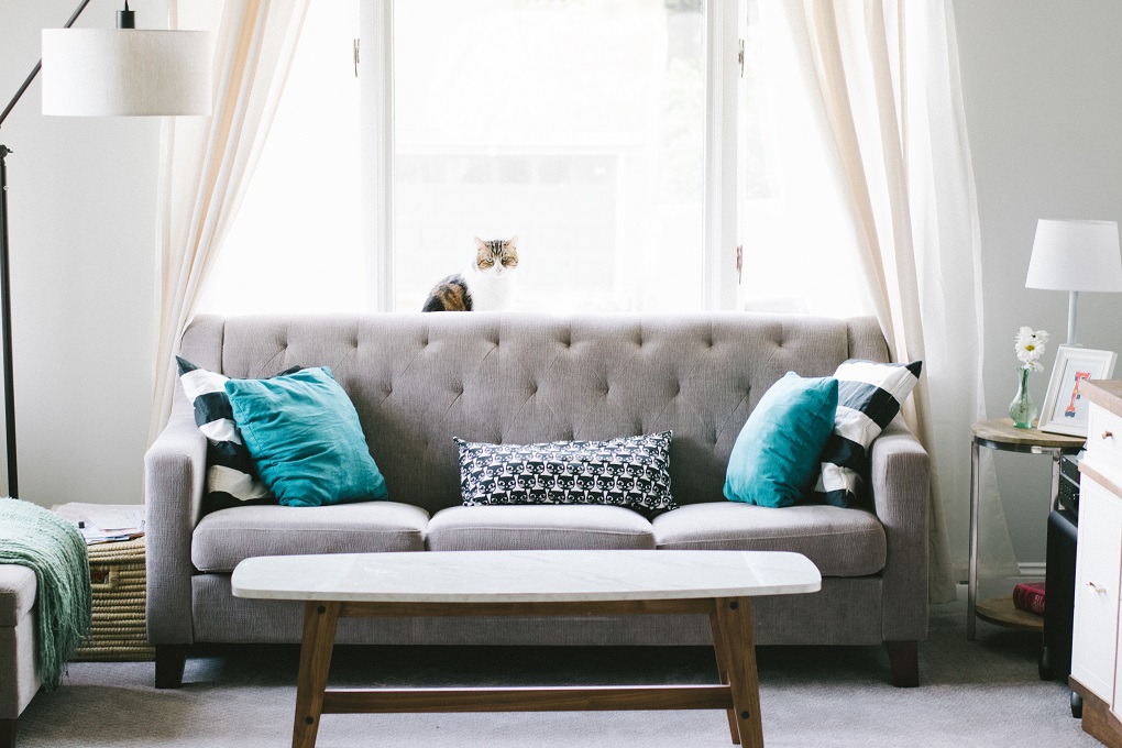 organised living room - Organised Chic